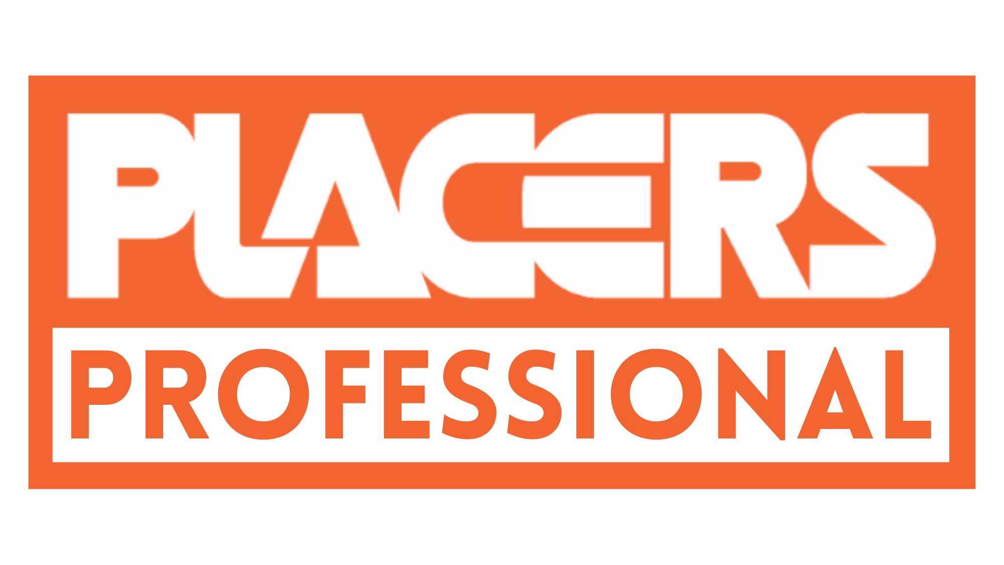 Placers Professional | Expert Staffing Solutions